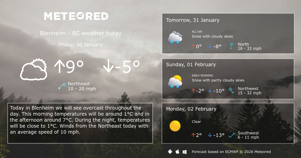 Weather Blenheim - SC. 14 day Forecast - yourweather.co.uk | Meteored